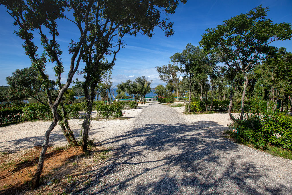 Stellplätze im Campingplatz Val Saline, Rovinj, Istrien, Kroatien